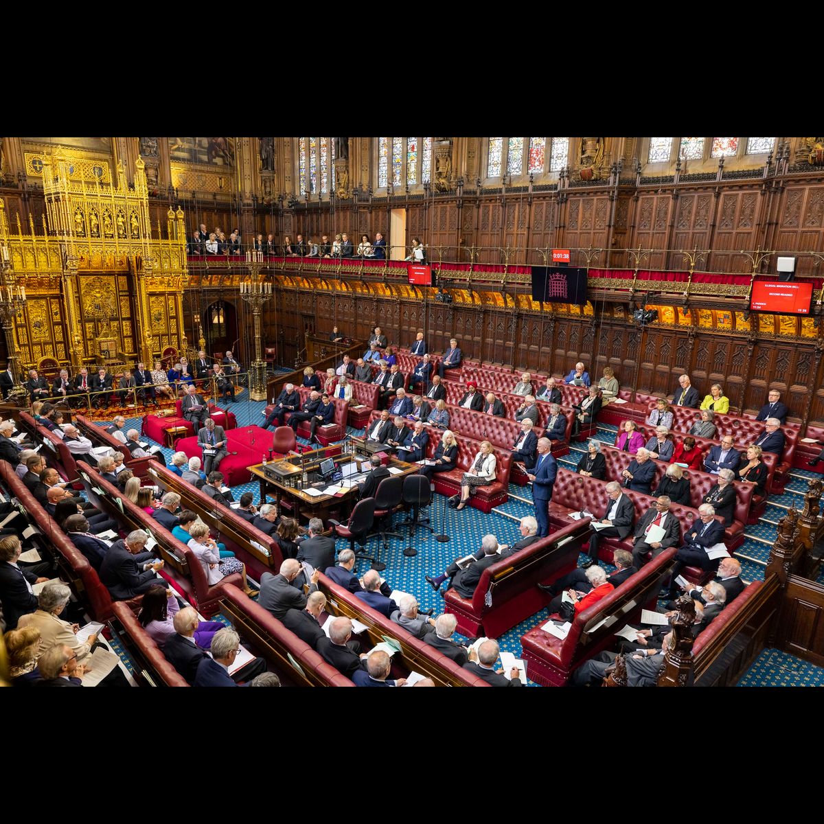 What did Lords Select Committees do in 2023/24?