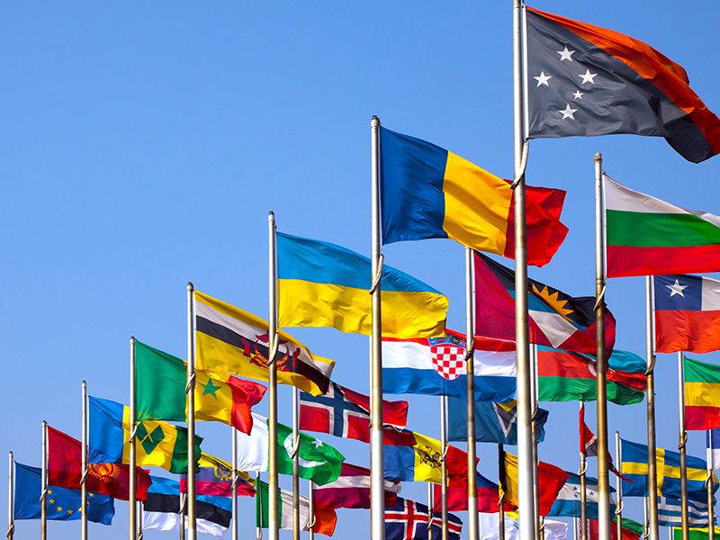 Rick Whitaker: A year as Thematic Research Lead in Parliament