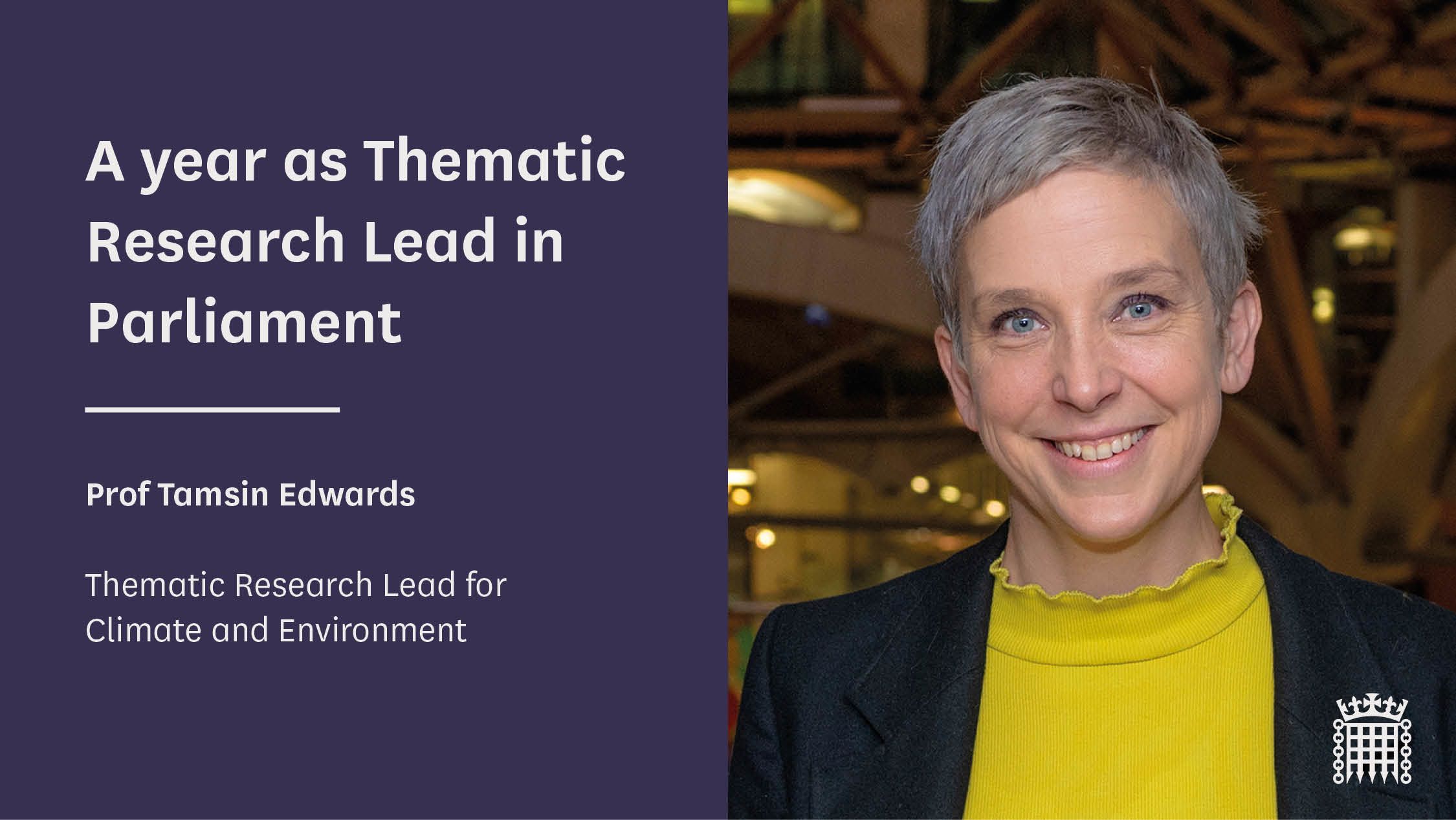 Tamsin Edwards: A year as Thematic Research Lead in Parliament
